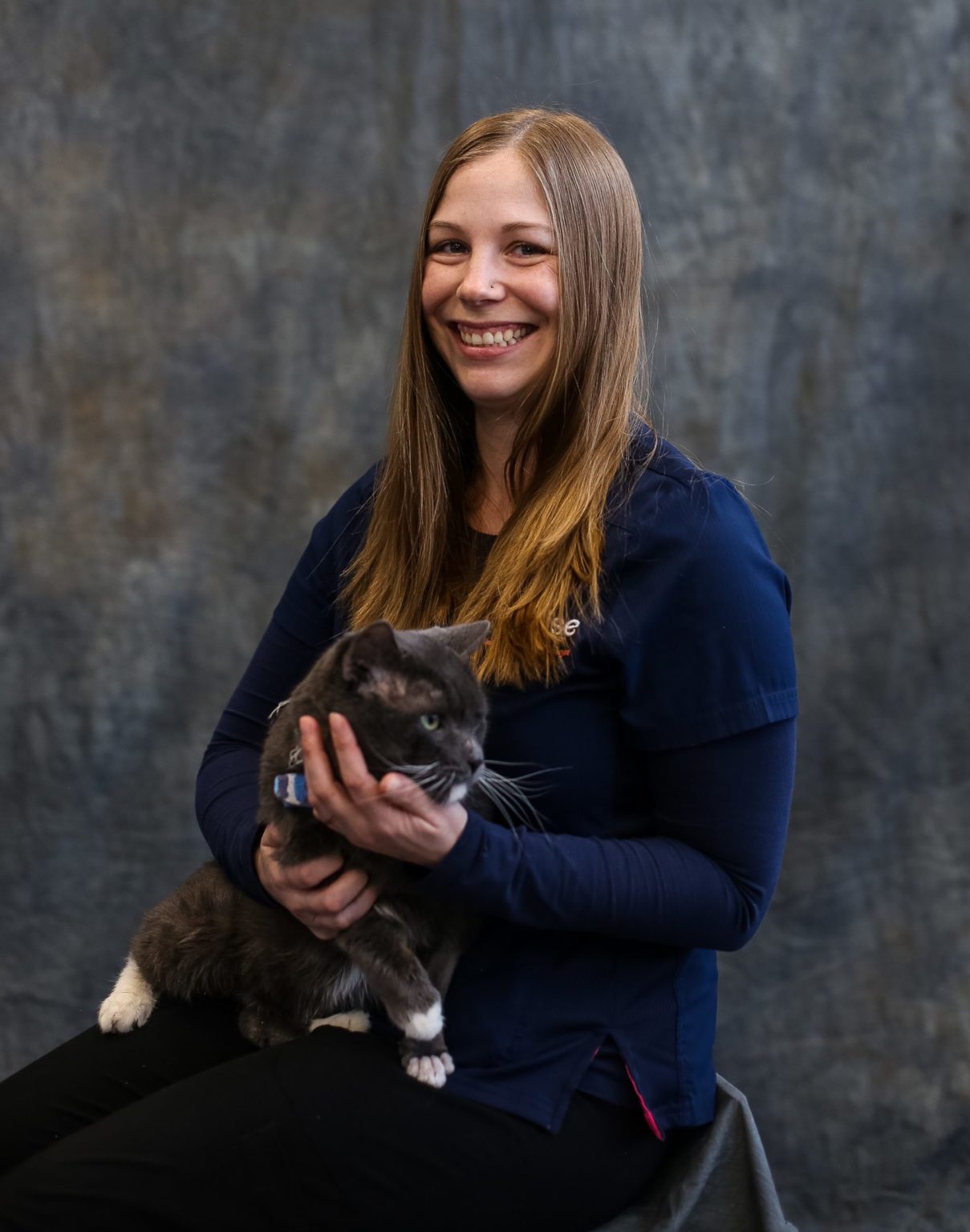 About Us - Pulse Emergency Veterinary - Serving Edmonton & Area