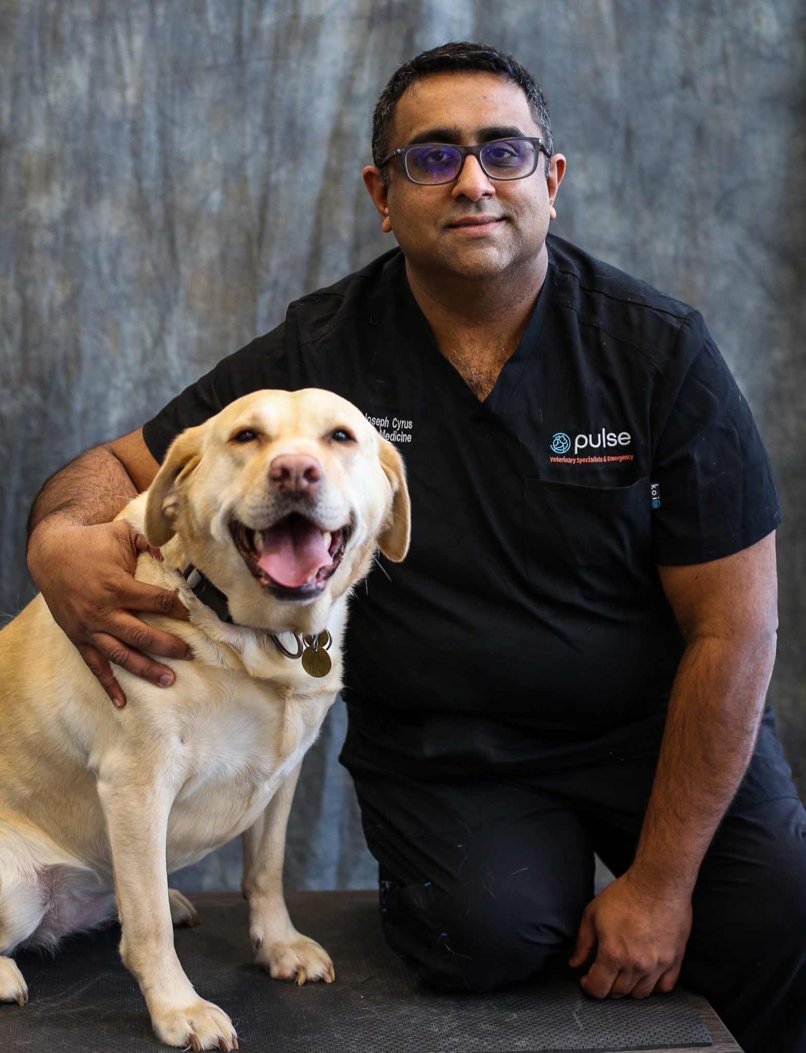 About Us - Pulse Emergency Veterinary - Serving Edmonton & Area